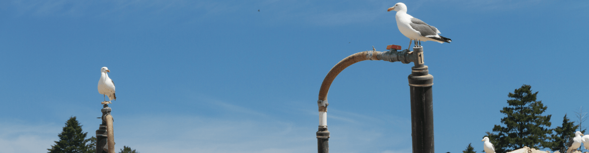 Landfill Venting Hose | Gas & Odor Control – Wholesale Hoses